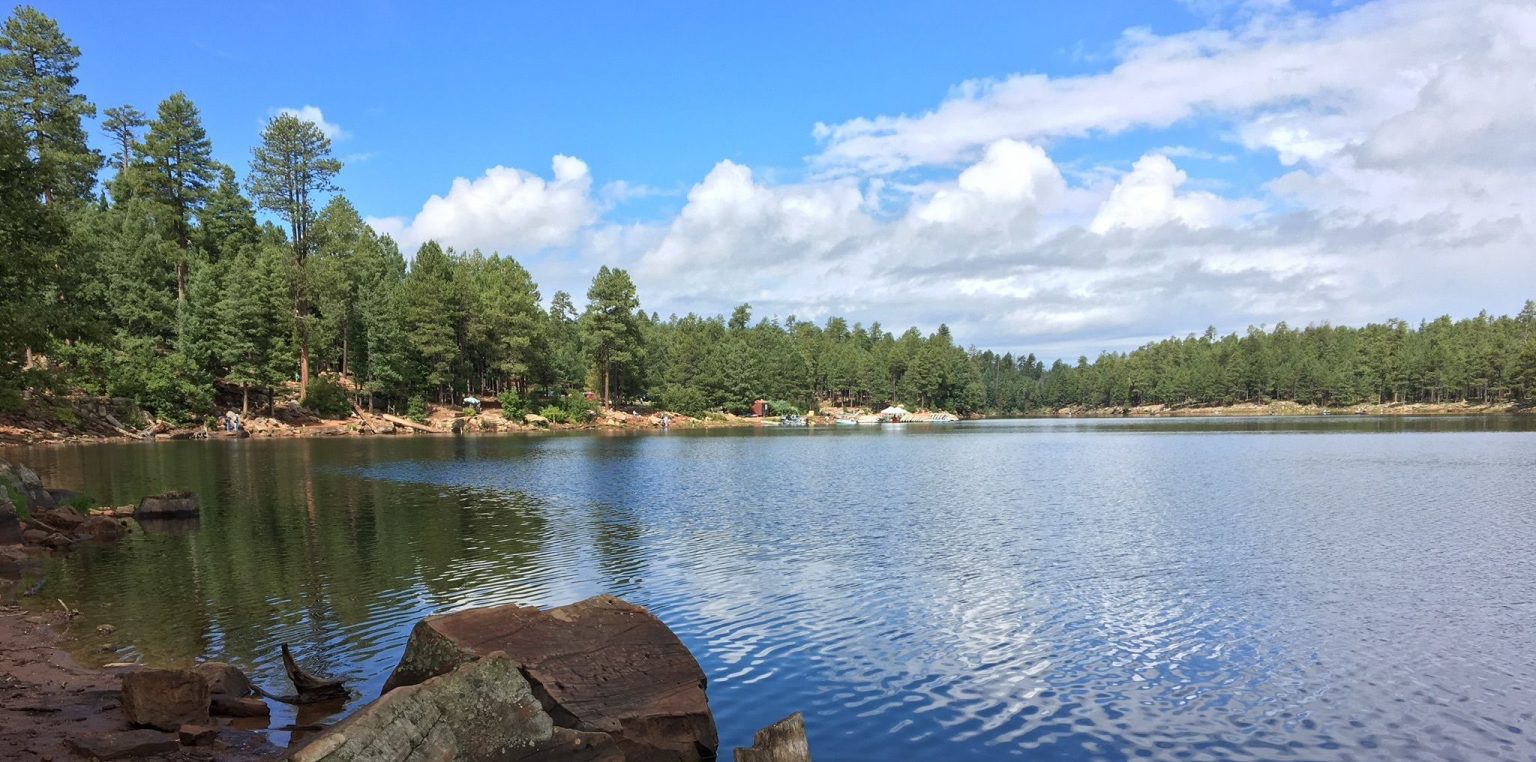 Forest Lakes