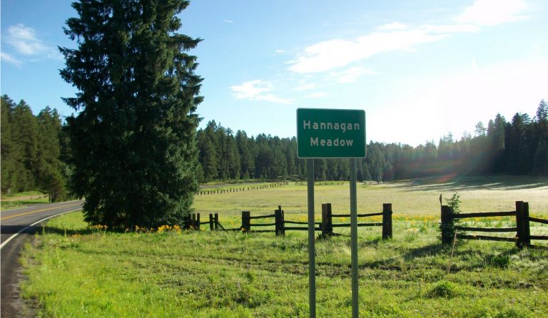 Hannagan Meadow