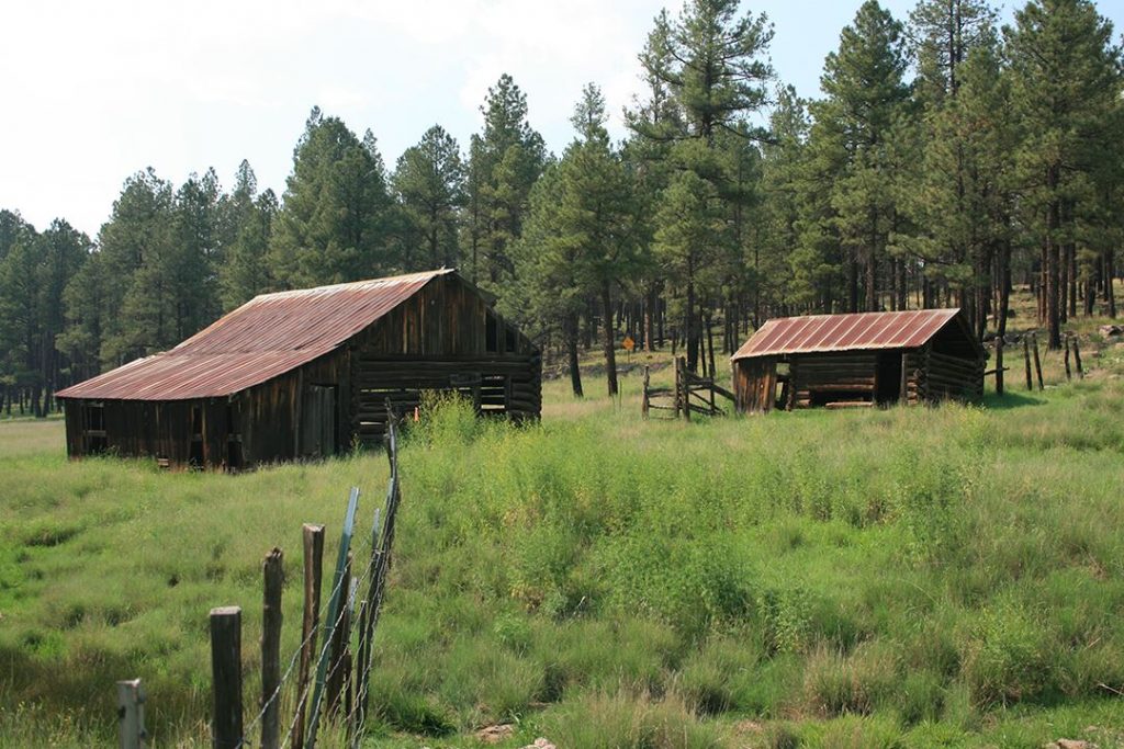 Pinetop-Lakeside